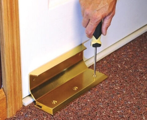 Services - Canada First